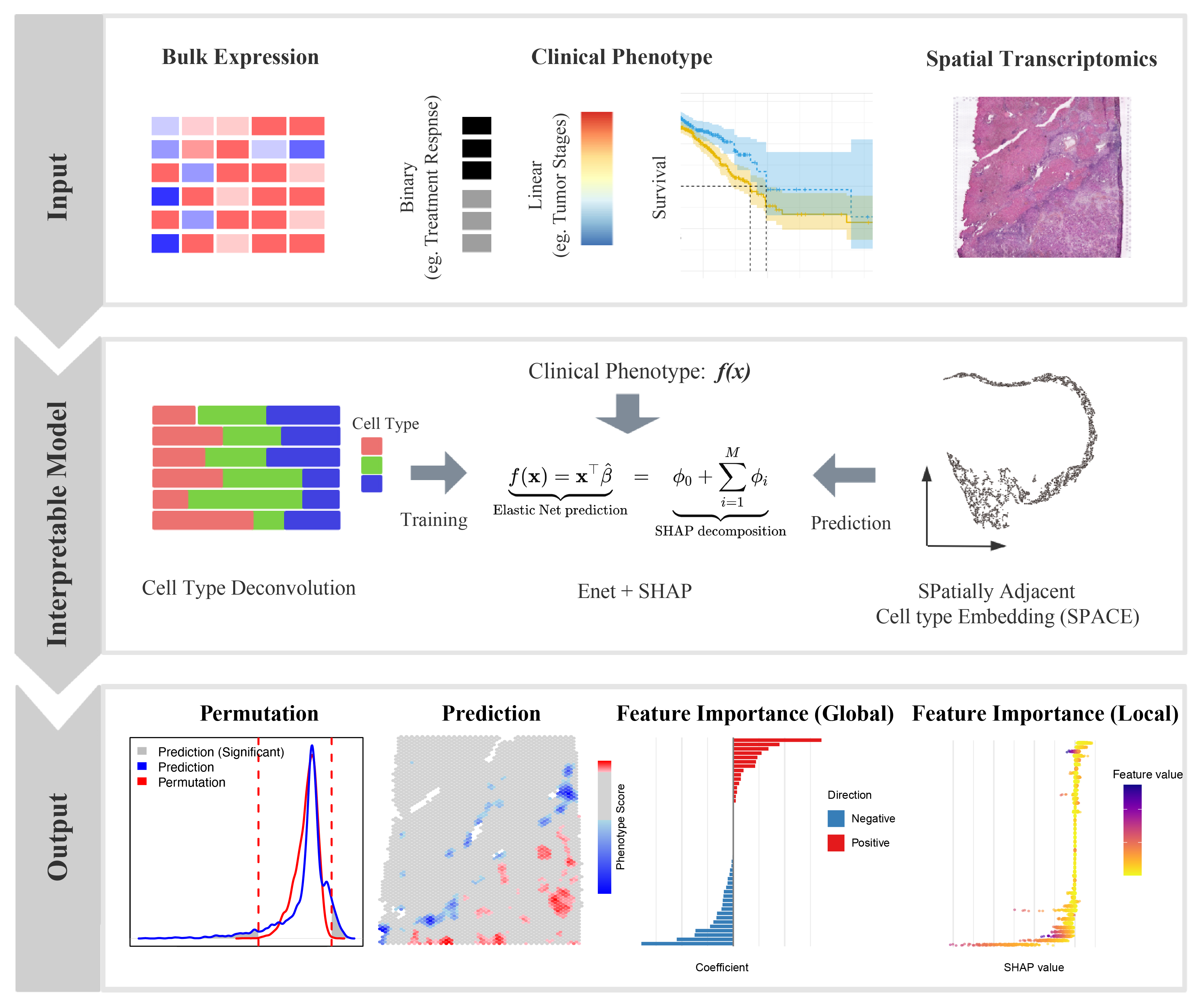 SpaPheno Tutorial: Linking Spatial Transcriptomics to Clinical ...